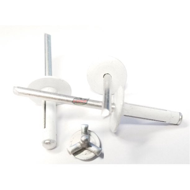 Torque Racing Supply Lg Head Exploding Rivets-Wht | Torque Racing Supply